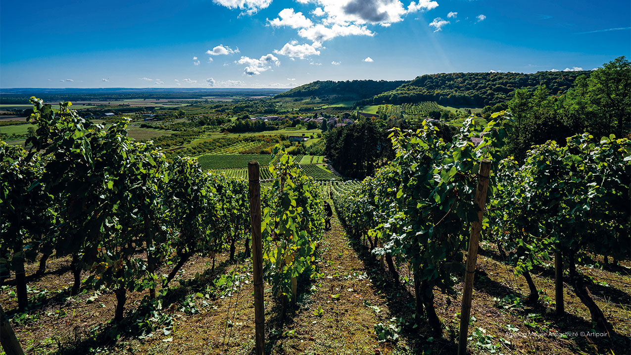 Vignoble des Côtes de Meuse, Vieville-sous-les-Côtes - Grande Region